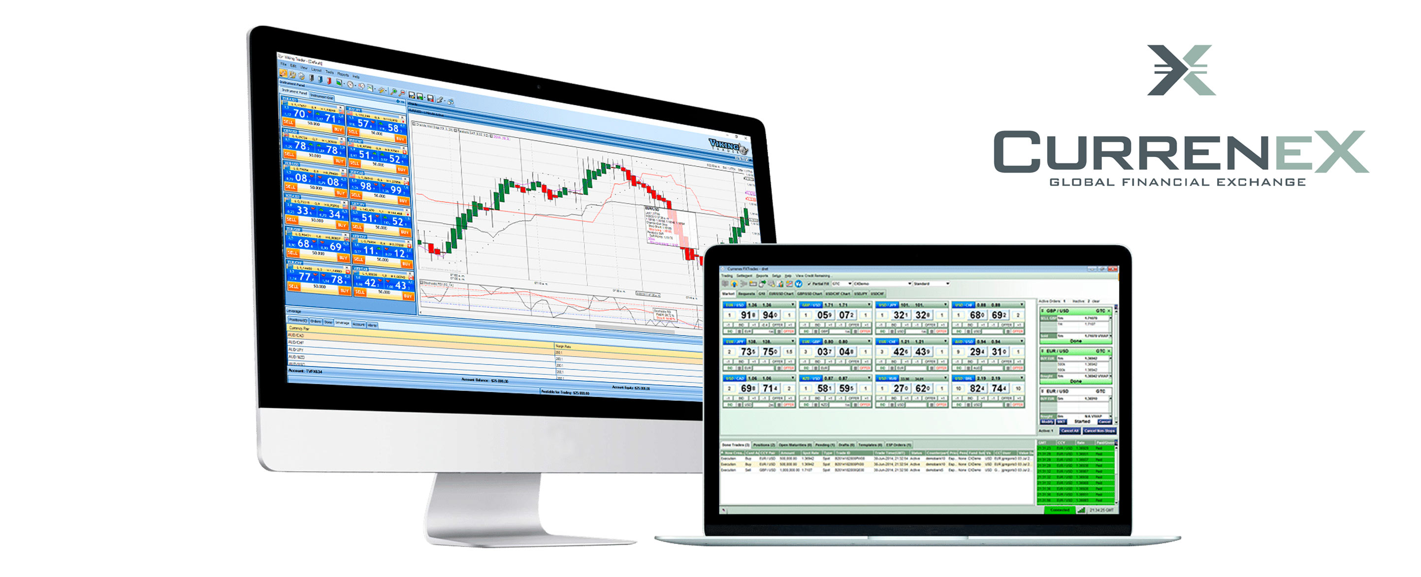 Trading for Everyone - Tradeview Markets